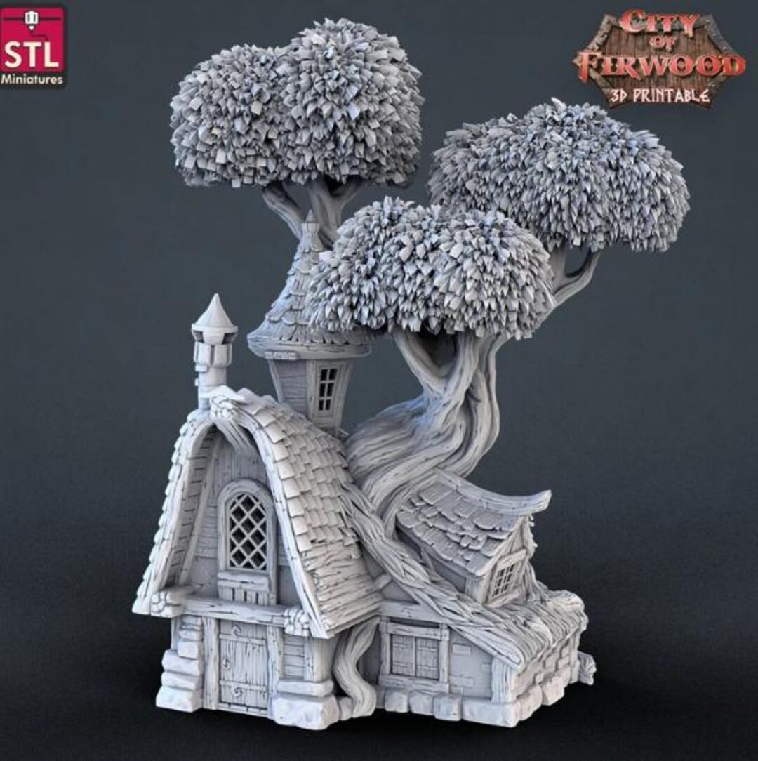 The Witch Hunt Dnd Dungeons and Dragons 28mm/32mm TTRPG Wargame ...