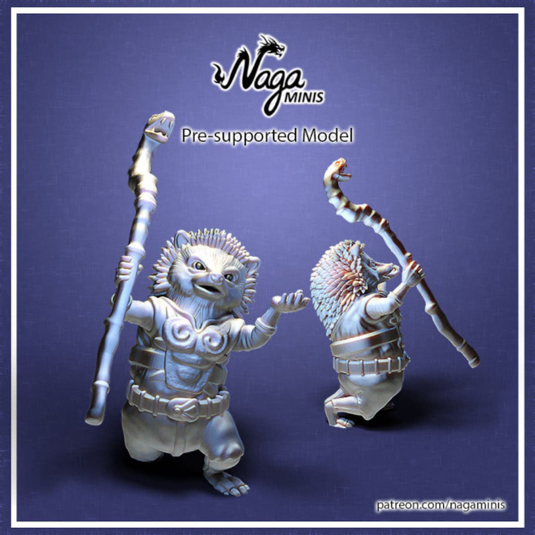 Hedgehog Folk Warlock Dnd Dungeons and Dragons Tabletop RPG Fantasy NPC ...