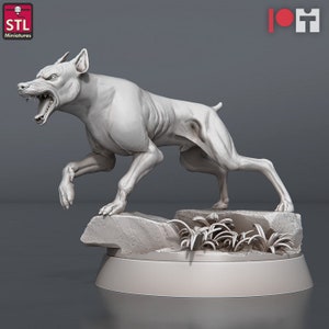 5pc Wild Dogs Set, Dnd, Dungeons and Dragons, Companion NPC, Dog ...