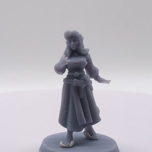 Royal Princess Dnd Dungeons and Dragons 28mm/32mm TTRPG Wargame ...