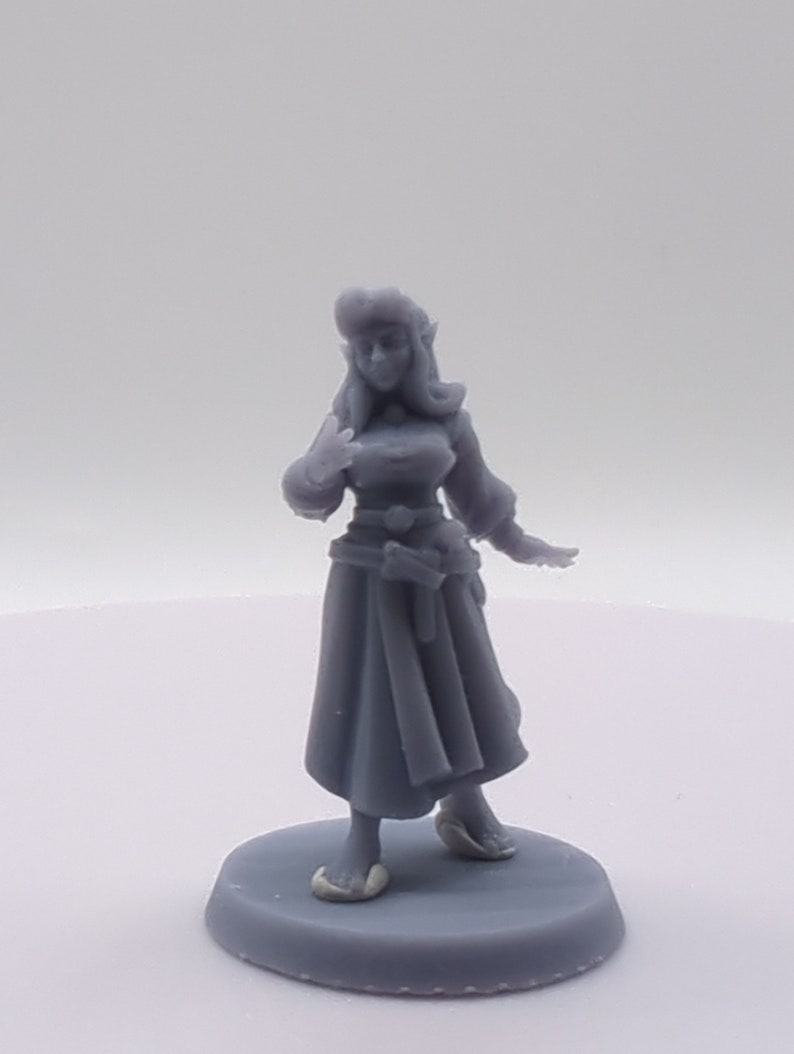 Royal Princess Dnd Dungeons and Dragons 28mm/32mm TTRPG Wargame ...