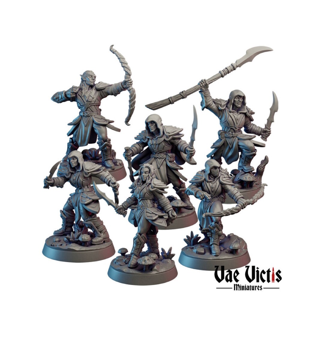 Elves Miniature, Paladin, Dnd, Dungeons and Dragons, Tabletop RPG ...