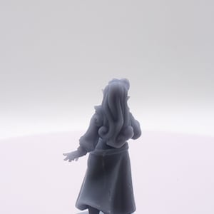 Royal Princess Dnd Dungeons and Dragons 28mm/32mm TTRPG Wargame ...