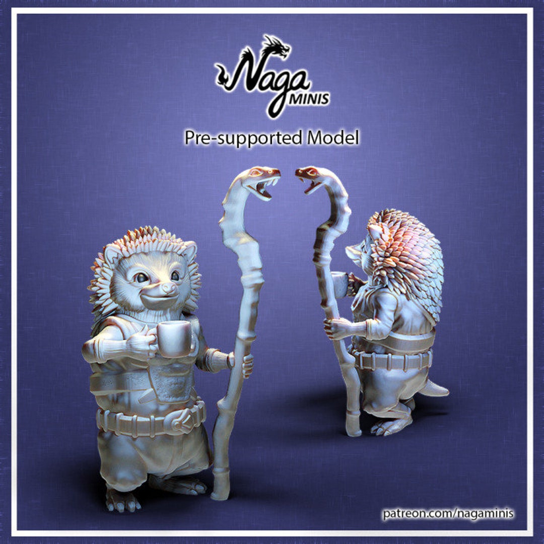 Hedgehog Folk Warlock Dnd Tabletop RPG 28mm/32mm Dungeons and Dragons ...