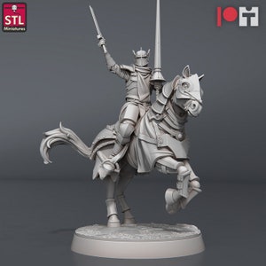 Medieval Jousting Miniatures Dnd Dungeons and Dragons 28mm/32mm TRPG ...