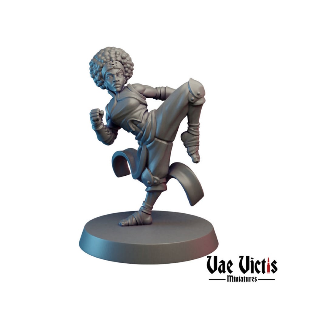 Monk Fighter Miniature, Dnd, Dungeons and Dragons, D&D, Pathfinder ...