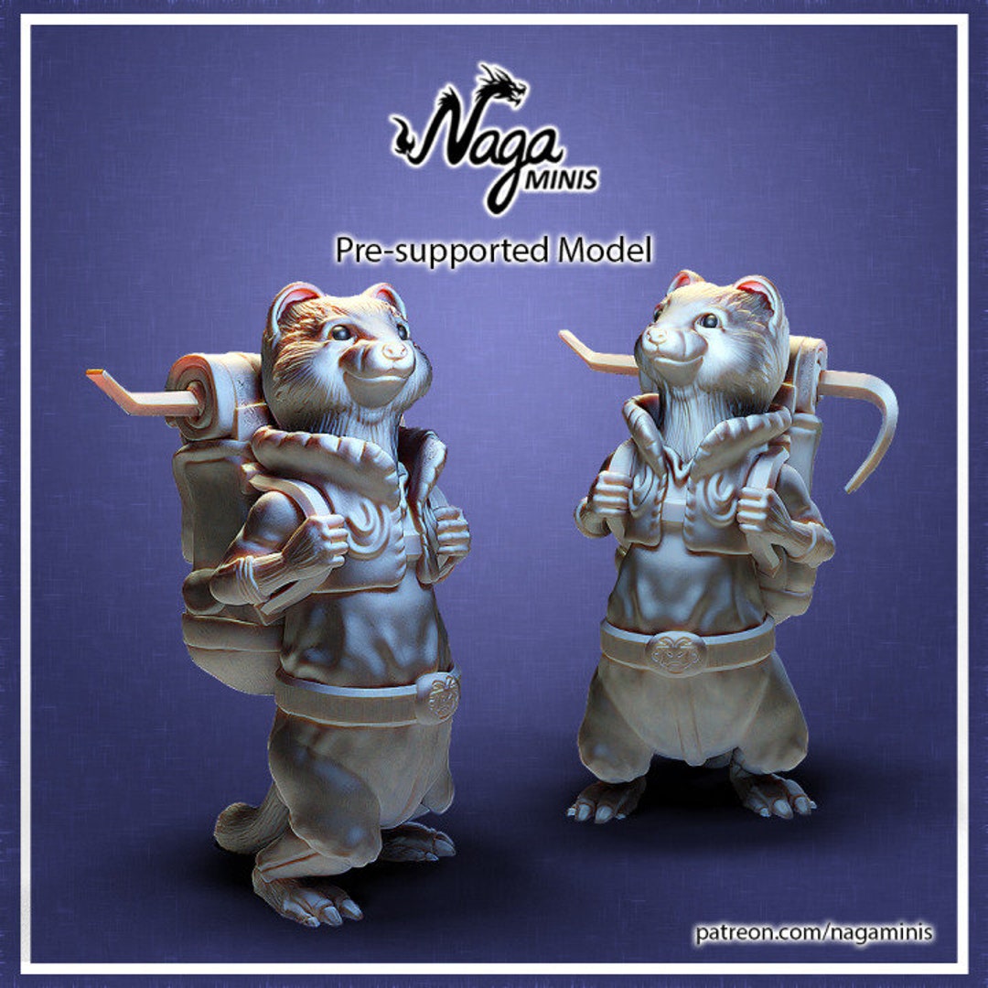 Weasel Folk Thief RP Pose Dnd Dungeons and Dragons Fantasy RPG ...