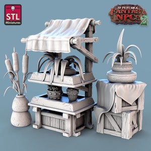 Florist Vendor Set, Dnd, Dungeons and Dragons, Flower Miniatures, Dnd ...