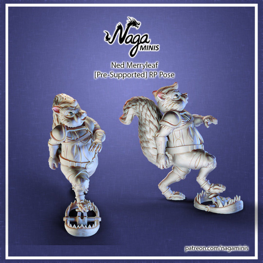 Squirrel Ranger Dnd Warrior Dungeons and Dragons Tabletop RPG Fantasy ...