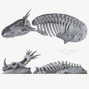 Ancient Skeletal Remains for Dnd Dungeons and Dragons Tabletop RPG 28mm ...