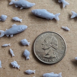 50pc Fish Miniature 3D Printed Dnd Scatter Terrain Dungeons and Dragons ...