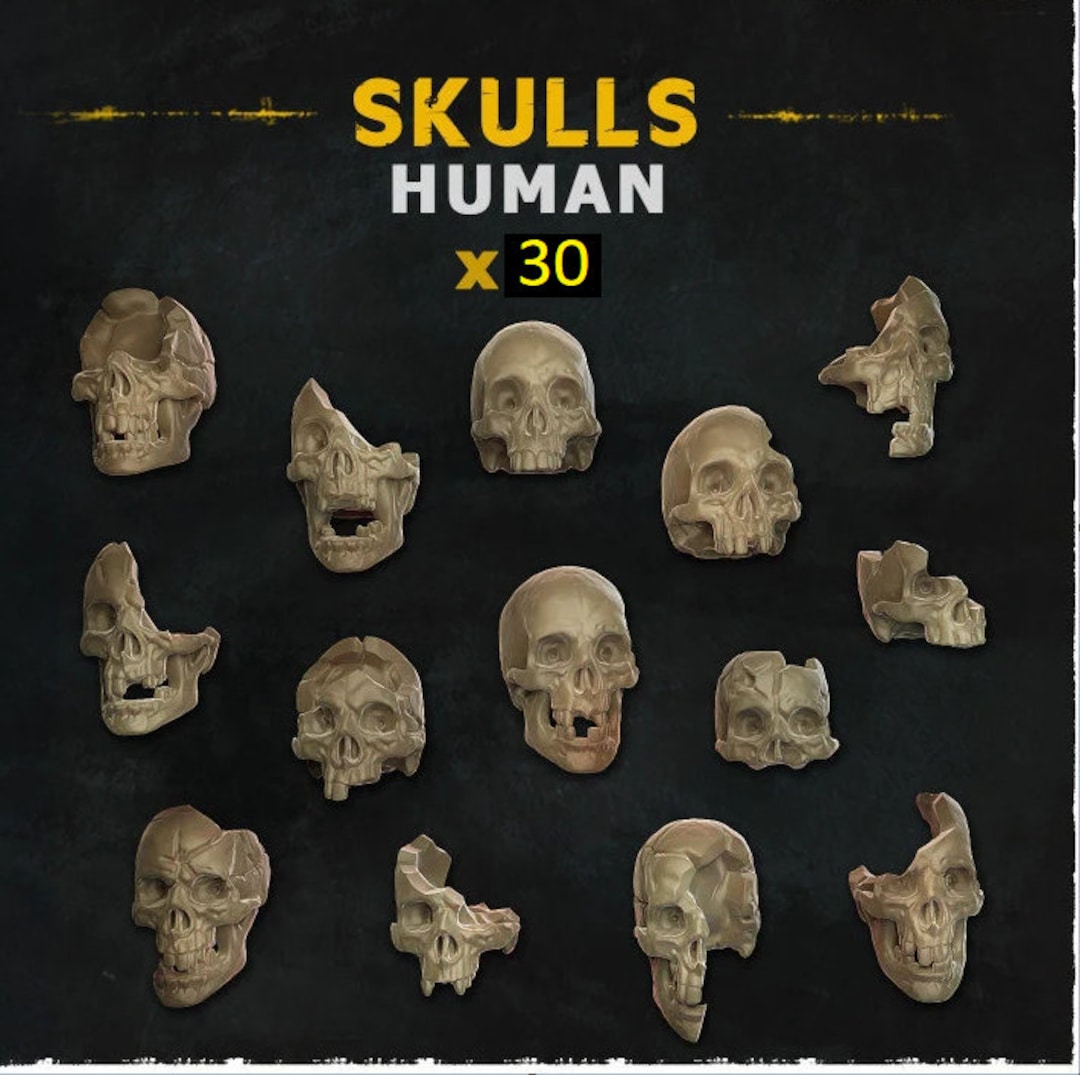 30pc Human Skulls 28mm/32mm Scale Basing Materials TTRPG Skulls Scatter ...
