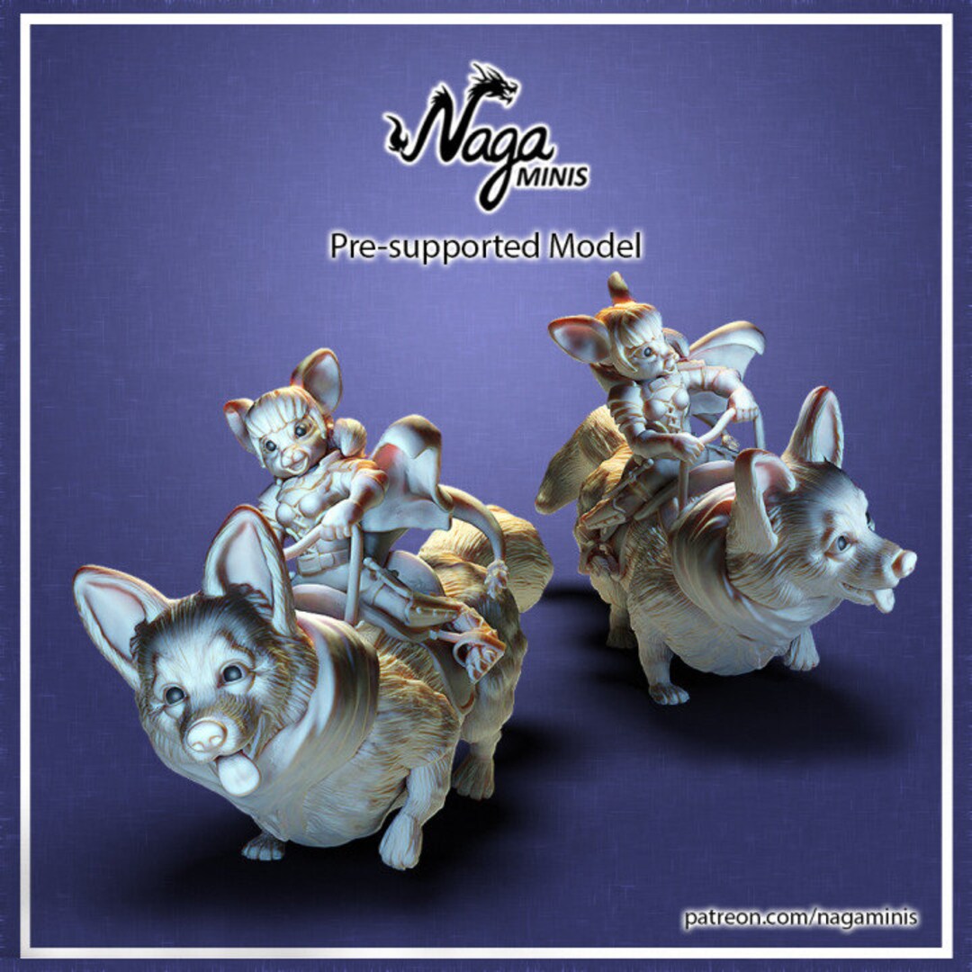Mouse Folk Rogue on Corgi Mount Dnd Dungeons and Dragons Tabletop RPG ...