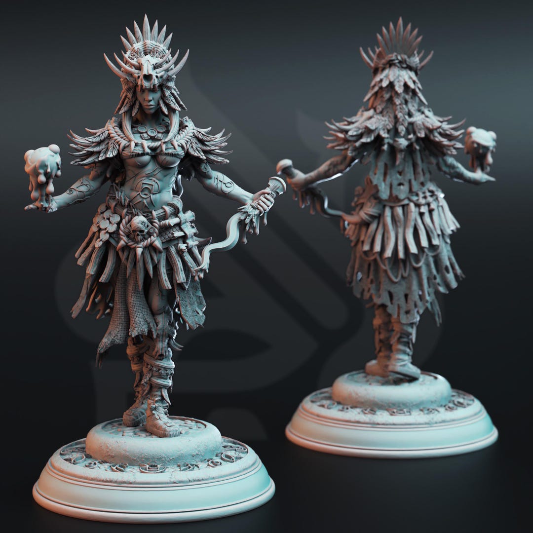 A Blood Shaman Priestess for Dnd Dungeons and Dragons 28mm/32/38mm ...