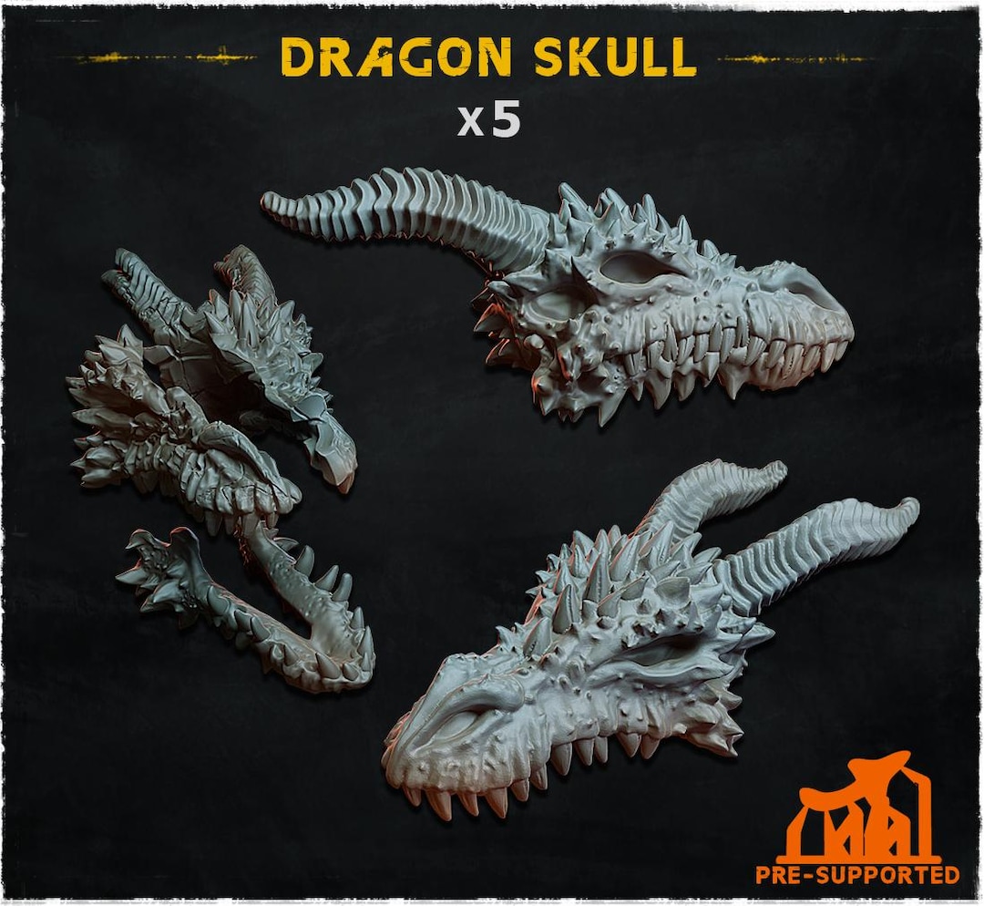 5pc Dragon Skull (basing Bits 1.0) 28mm/32mm TTRPG Fantasy Battlefield ...
