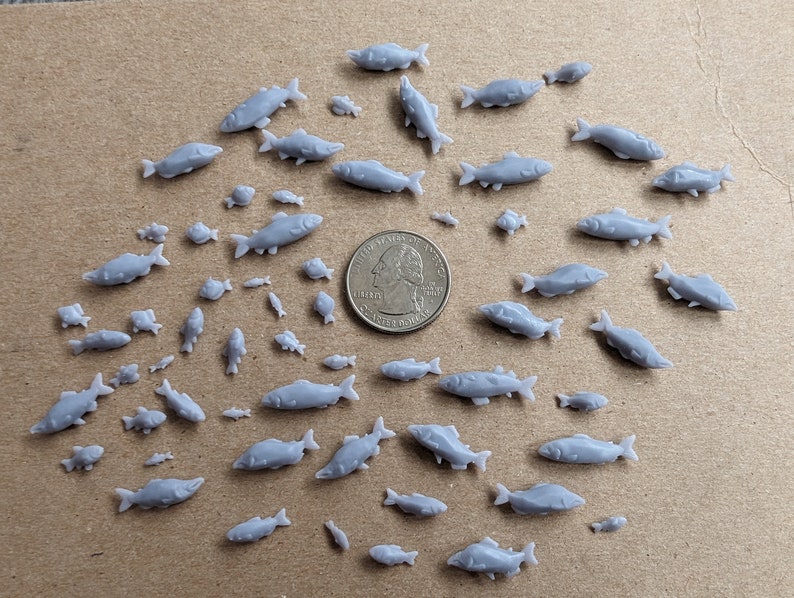 50pc Fish Miniature 3D Printed Dnd Scatter Terrain Dungeons and Dragons ...