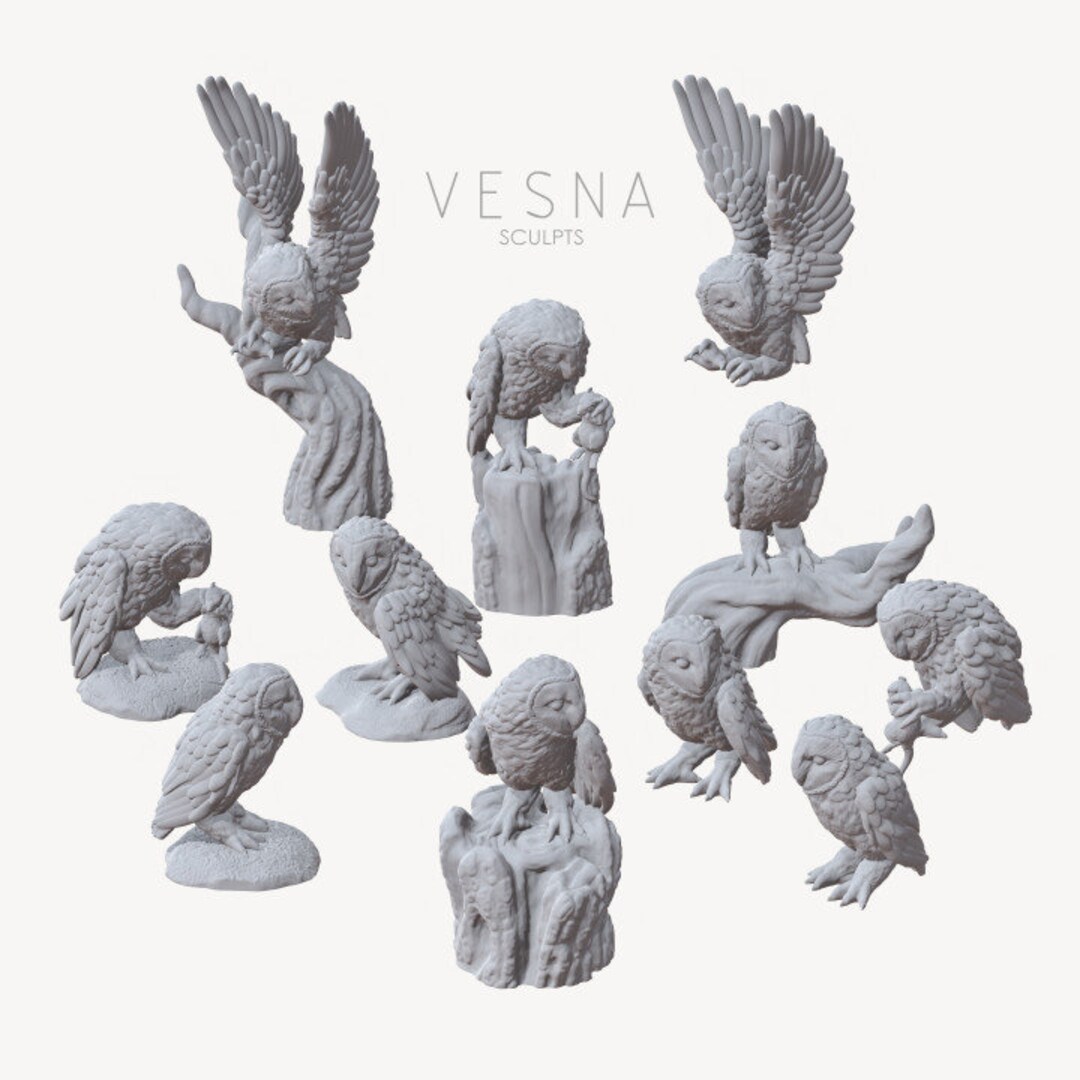 11pc Barn Owls Set Dnd Dungeons and Dragons Owl Miniatures 28mm/32mm ...