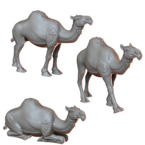 Camel Miniatures for Dnd Dungeons and Dragons Tabletop Rpgs Desert ...