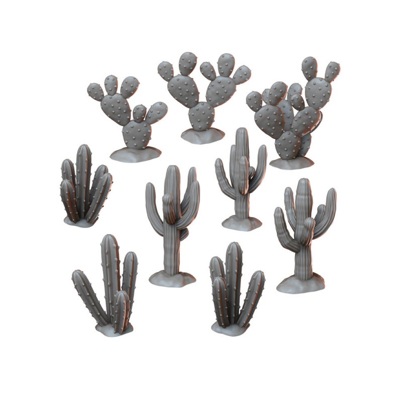 Cactus Plant - Etsy
