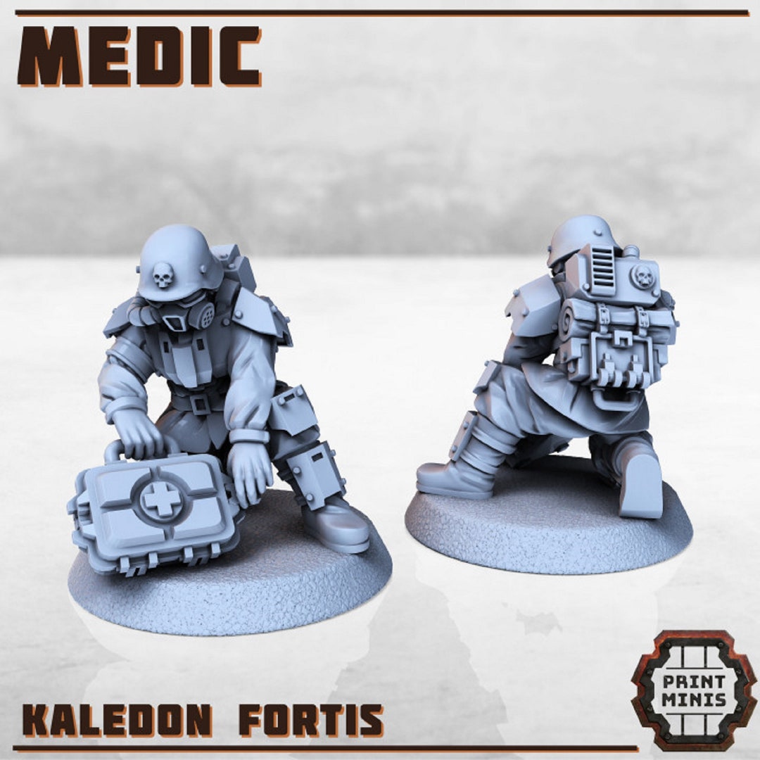Medic Dnd Miniature Dungeons and Dragons D&D Pathfinder - Etsy
