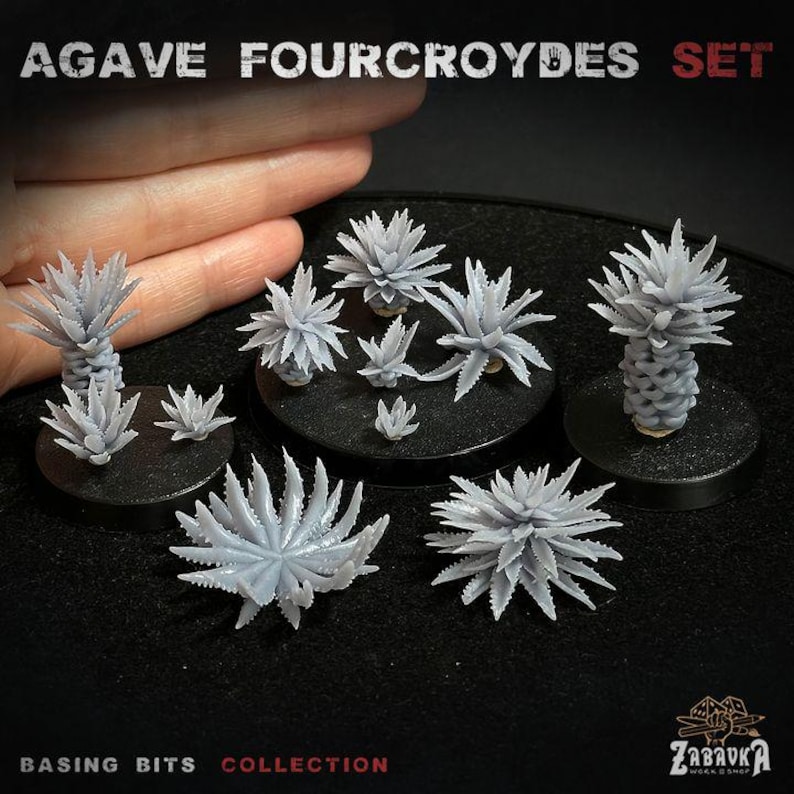 18 piezas de Agave Fourcroydes - Piezas para peana (plantas) de 28 mm ...