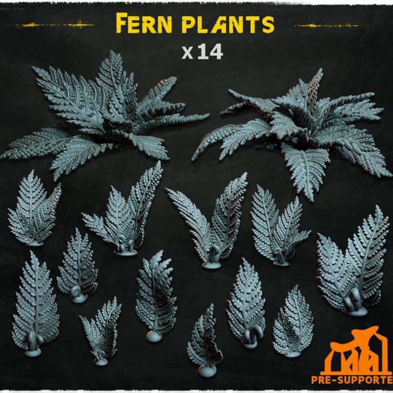 Miniature Fern - Etsy