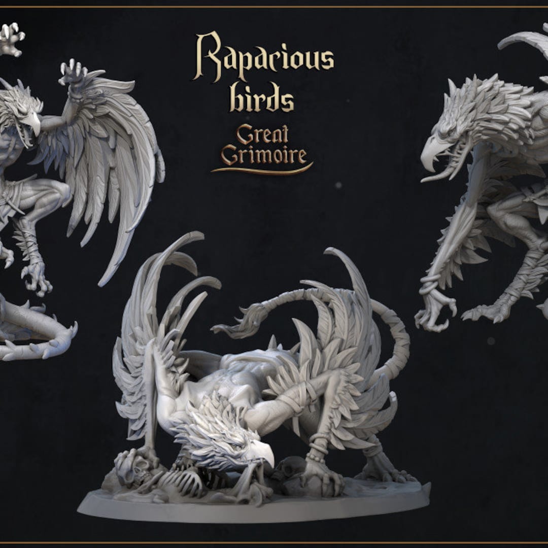 Rapacious Bird Dnd Dungeons and Dragons 28mm/32mm TTRPG Wargame ...