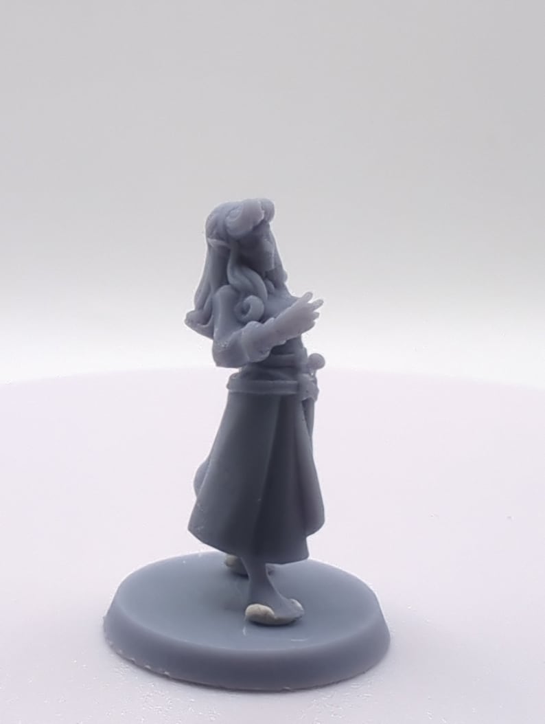 Royal Princess Dnd Dungeons and Dragons 28mm/32mm TTRPG Wargame ...