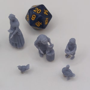 Chicken Coop Farm Miniatures Dnd Dungeons and Dragons 28mm/32mm TTRPG ...