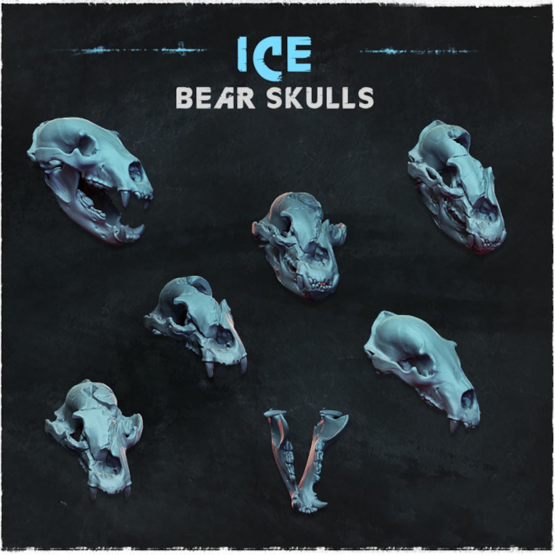 21pc Bear Skulls Dnd Dungeons and Dragons Basing Bits and Materials ...