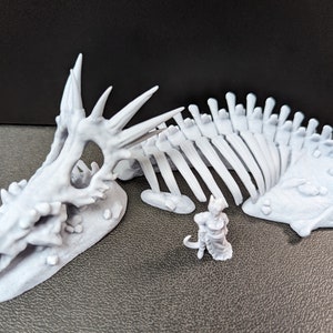 Ancient Skeletal Remains for Dnd Dungeons and Dragons Tabletop RPG 28mm ...