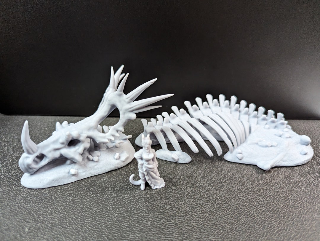 Ancient Skeletal Remains for Dnd Dungeons and Dragons Tabletop RPG 28mm ...