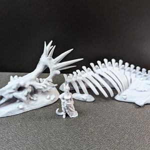 Ancient Skeletal Remains for Dnd Dungeons and Dragons Tabletop RPG 28mm ...