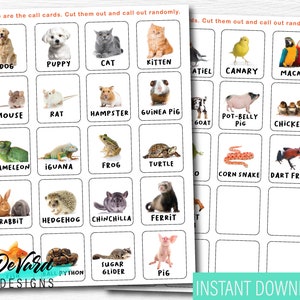Pet Bingo Game: 15 Cards, Animal Birthday Party (digital Download) - Etsy