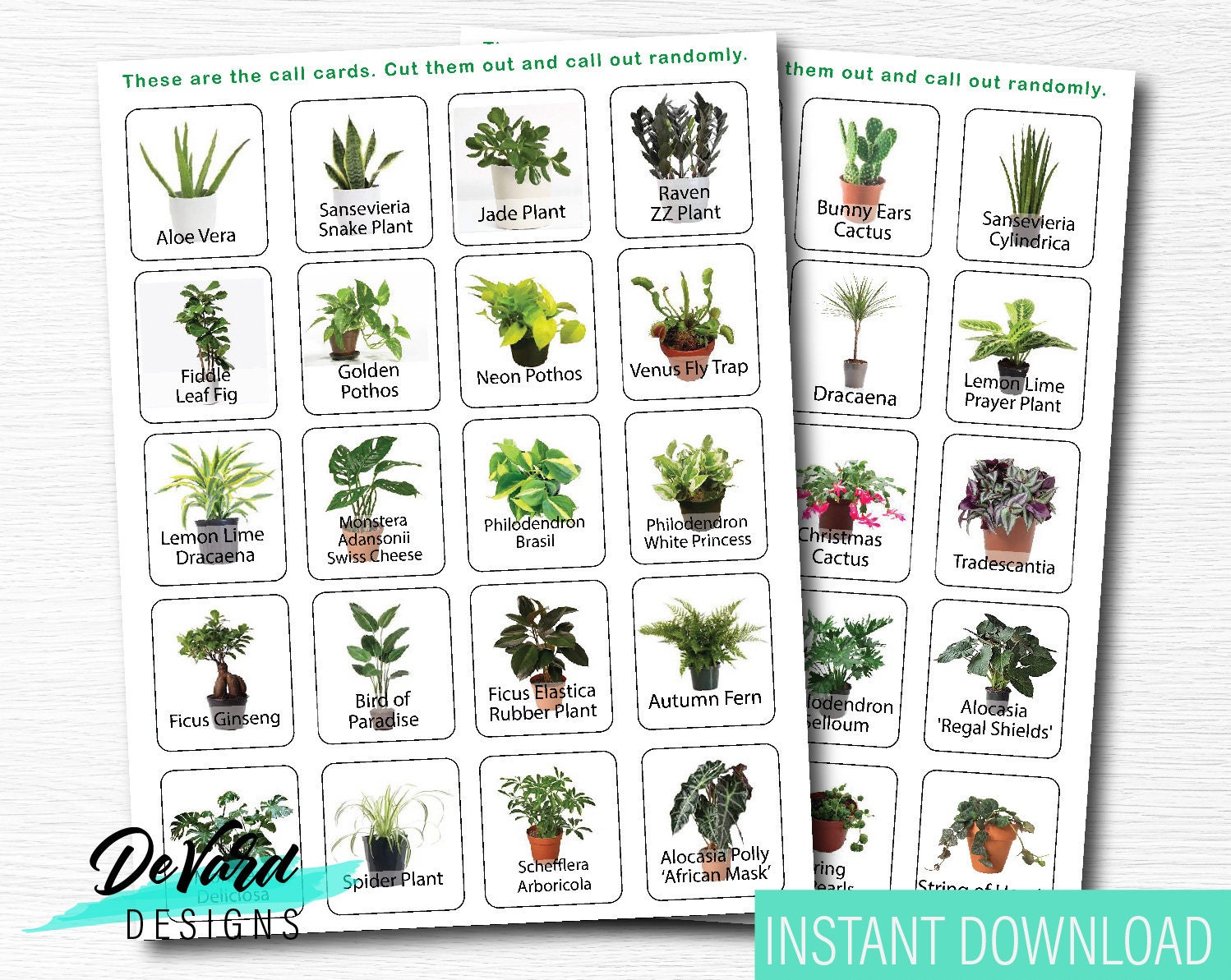 House Plant Succulent Bingo Game Set of 15 Cards Call Cards Tropical ...