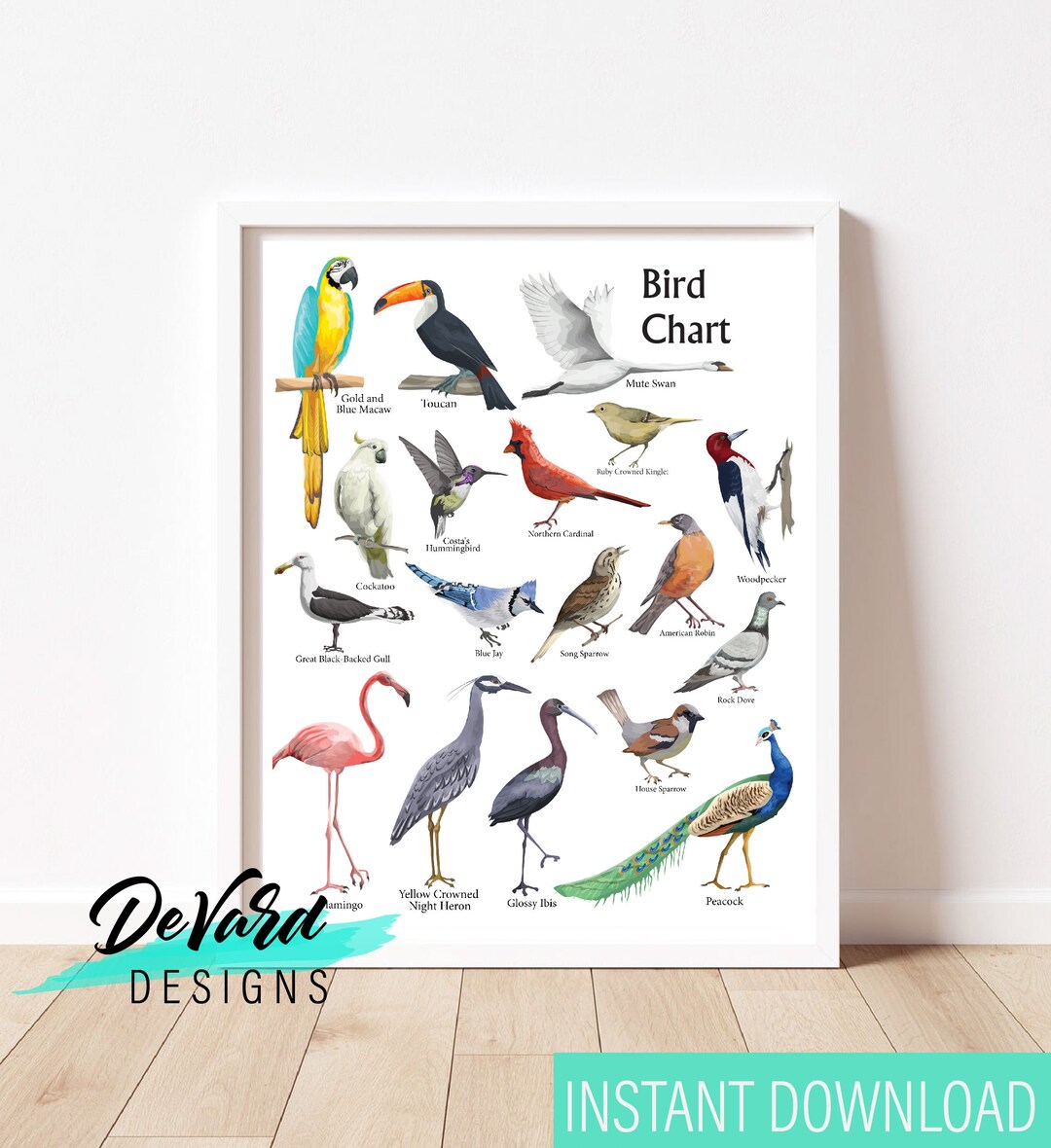 Bird Chart Decoration- Instant Download Wall Art - Homeschool Classroom ...
