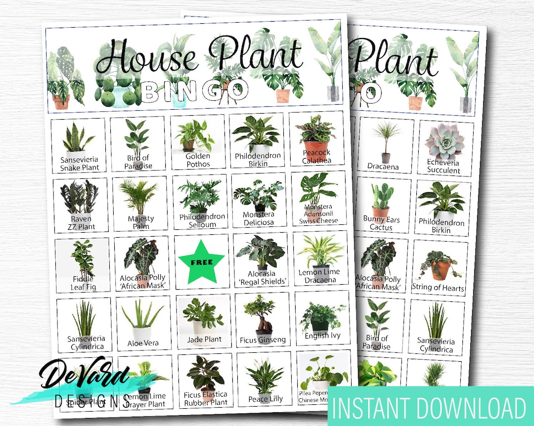 House Plant Succulent Bingo Game- Set of 15 Cards + Call Cards ...