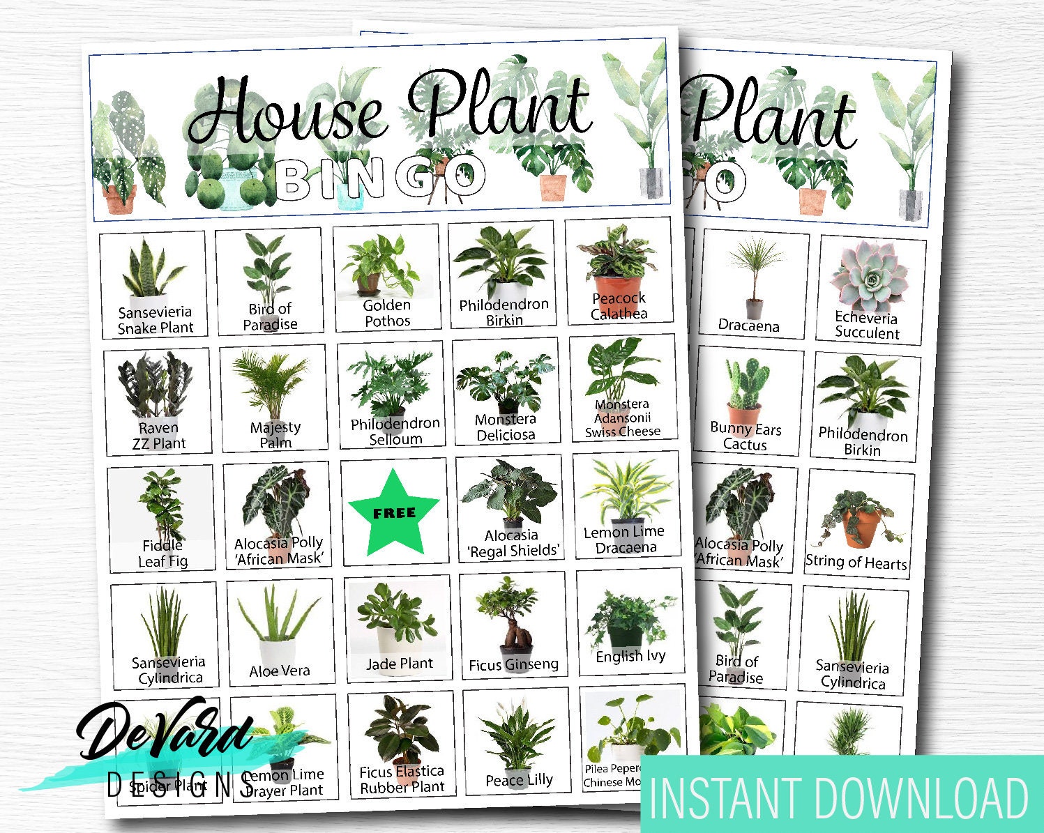 House Plant Succulent Bingo Game Set of 15 Cards Call Cards Tropical ...