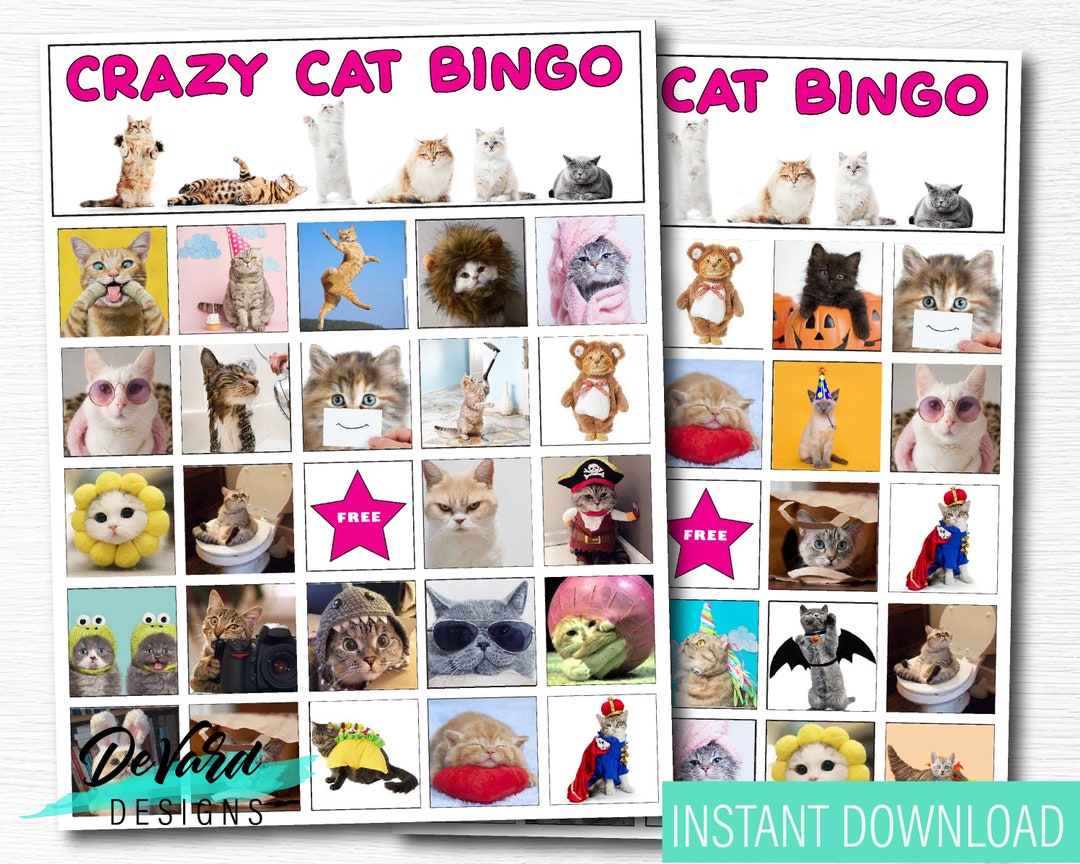 Crazy Cat Animal Bingo Game- Set of 15 Cards + Call Cards - Kids ...