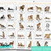 Wild Cat Bingo Game Set of 15 Cards Call Cards Kids - Etsy