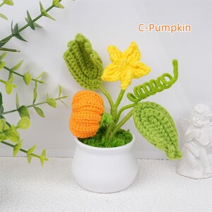 NEW Handmade Crochet Mini Chomper/strawberry/pumpkin/melon-pult/kernel ...