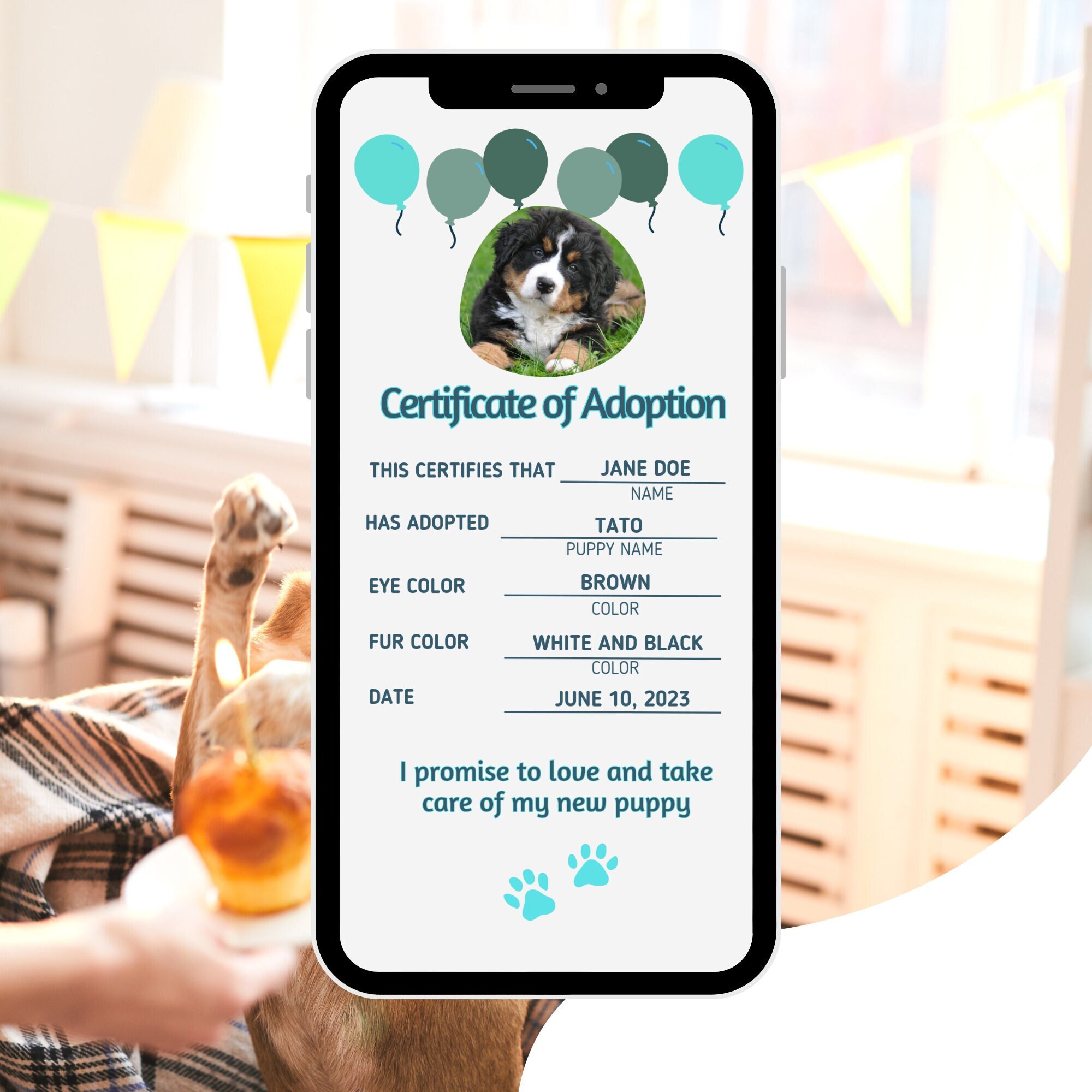 Pet Adoption Certificate Puppy Adoption Template Adoption - Etsy