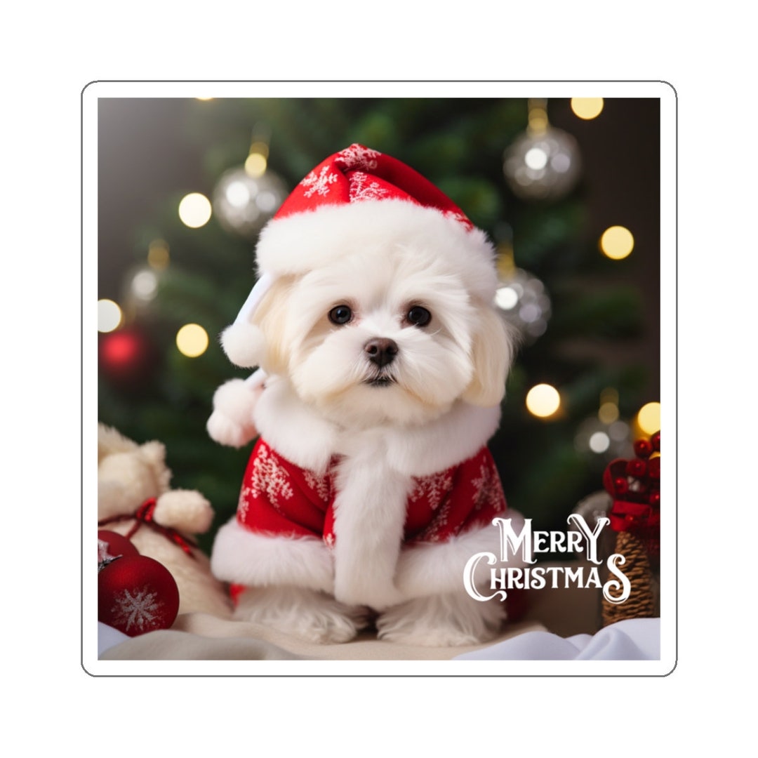 Chistmas Gift Sticker, Maltese Sticker, Maltese Puppy, Christmas ...