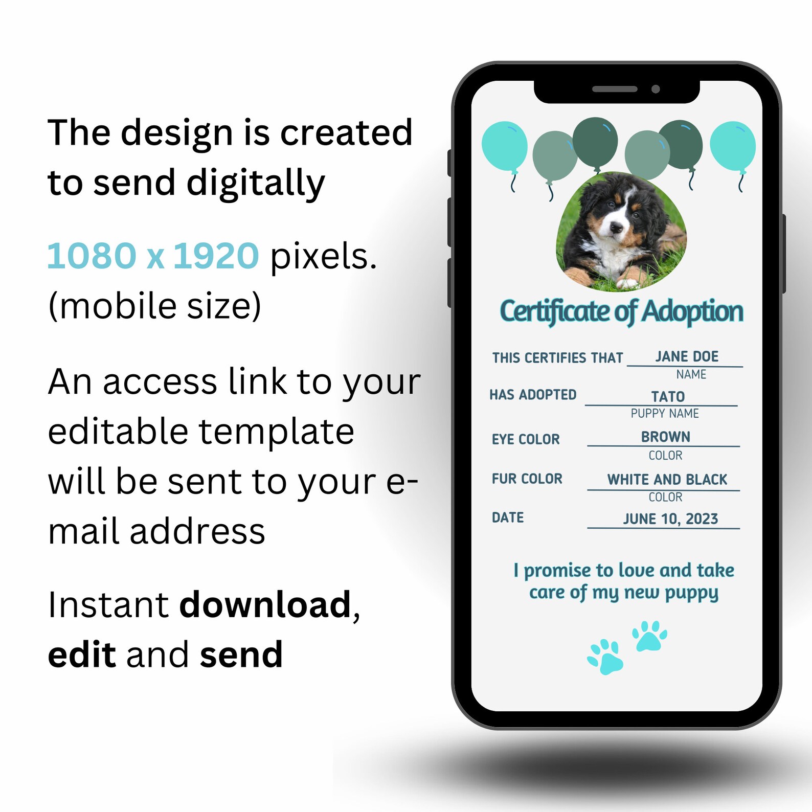 Pet Adoption Certificate, Puppy Adoption Template, Adoption Printable ...