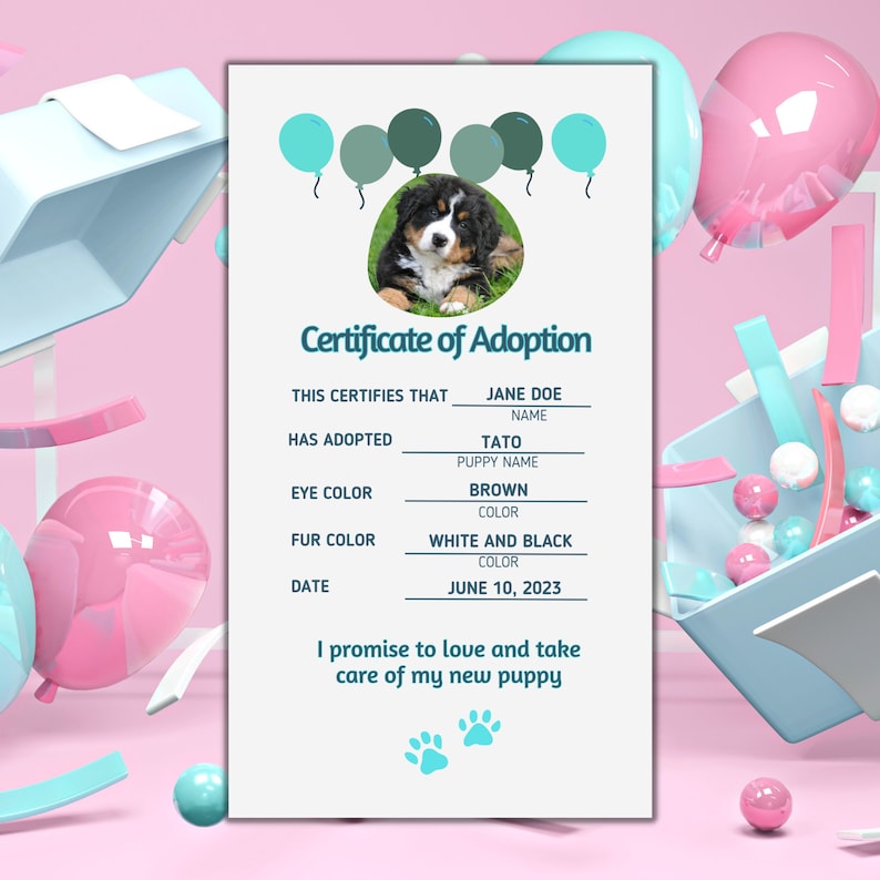 Pet Adoption Certificate Puppy Adoption Dog Birthday Party - Etsy