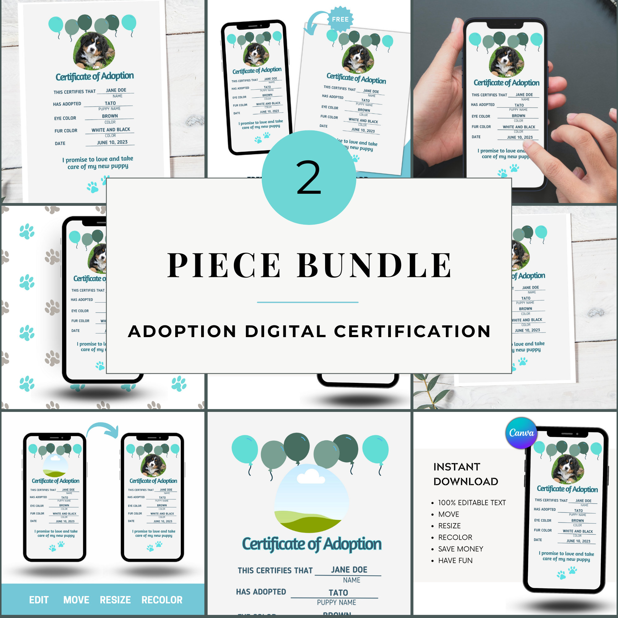 Pet Adoption Certificate, Puppy Adoption Template, Adoption Printable ...