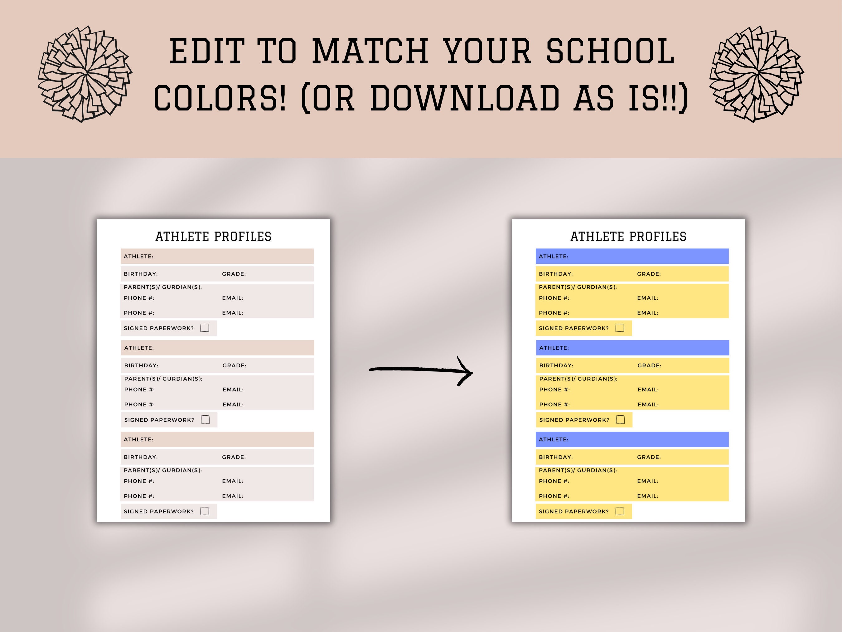 Editable Practice Planner, Cheer Coach Planner, Printable, Canva ...