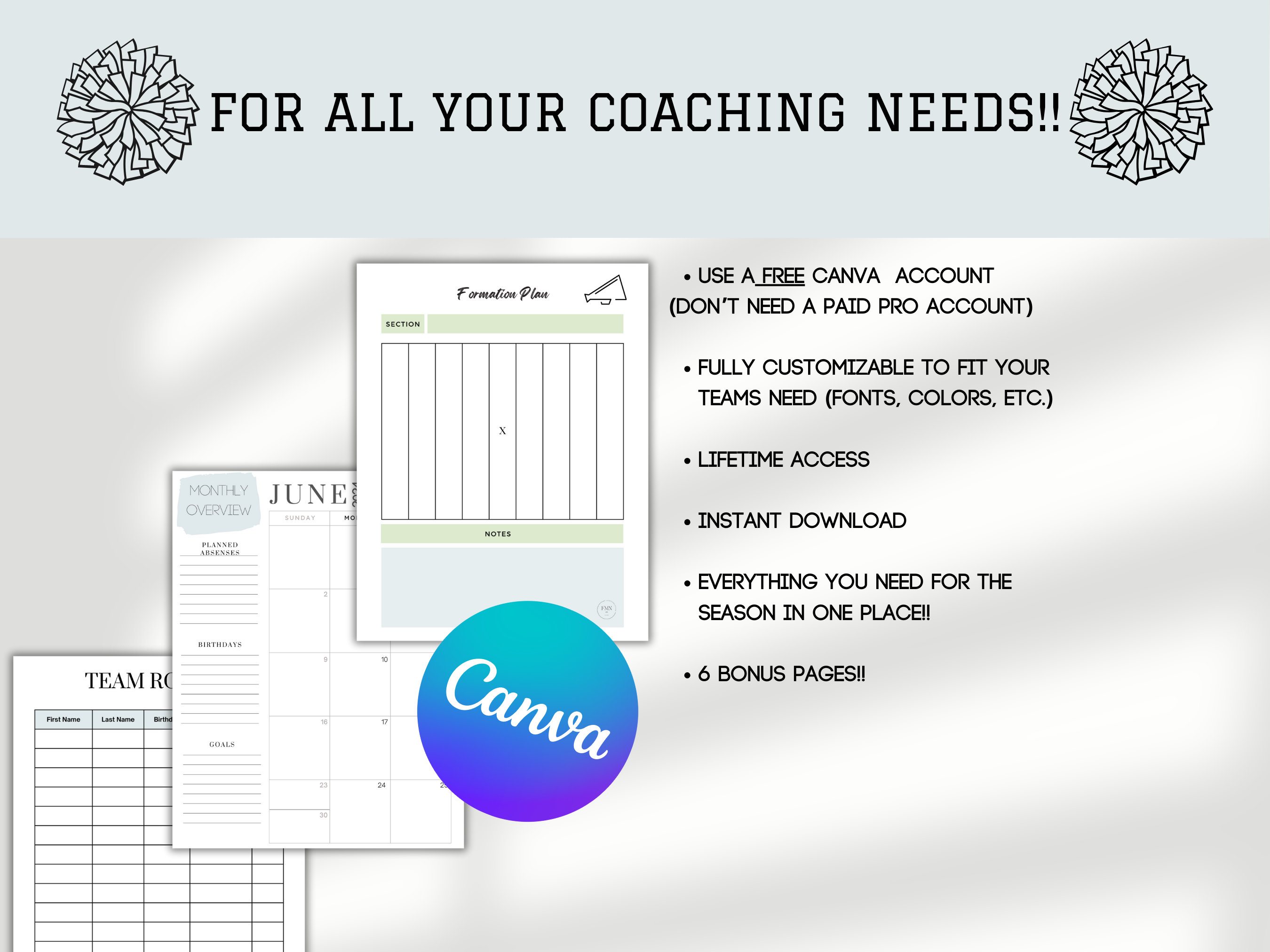 Editable Cheer Coach Binder, Cheer Coach Planner, FULL BUNDLE, 70 ...