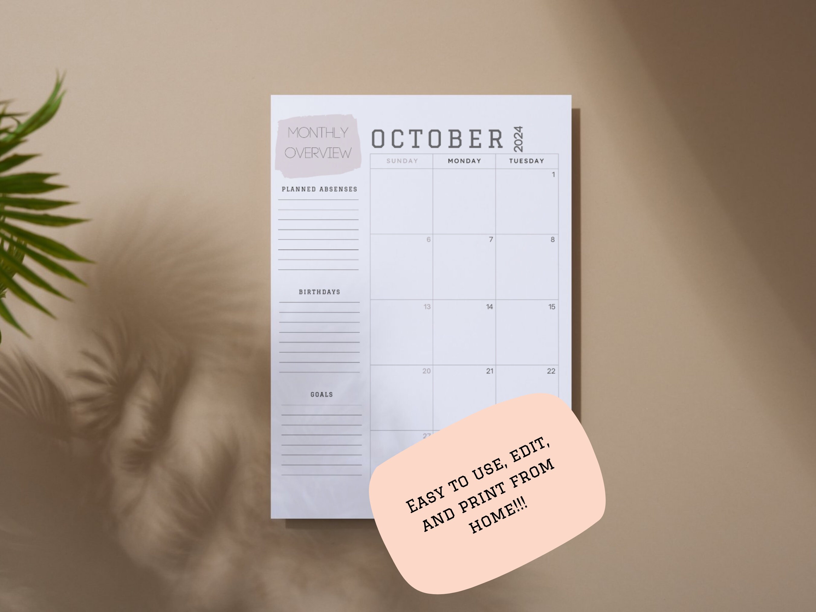 Editable Cheer Coach Calendar: 2024-2025 Monthly Planner (digital ...