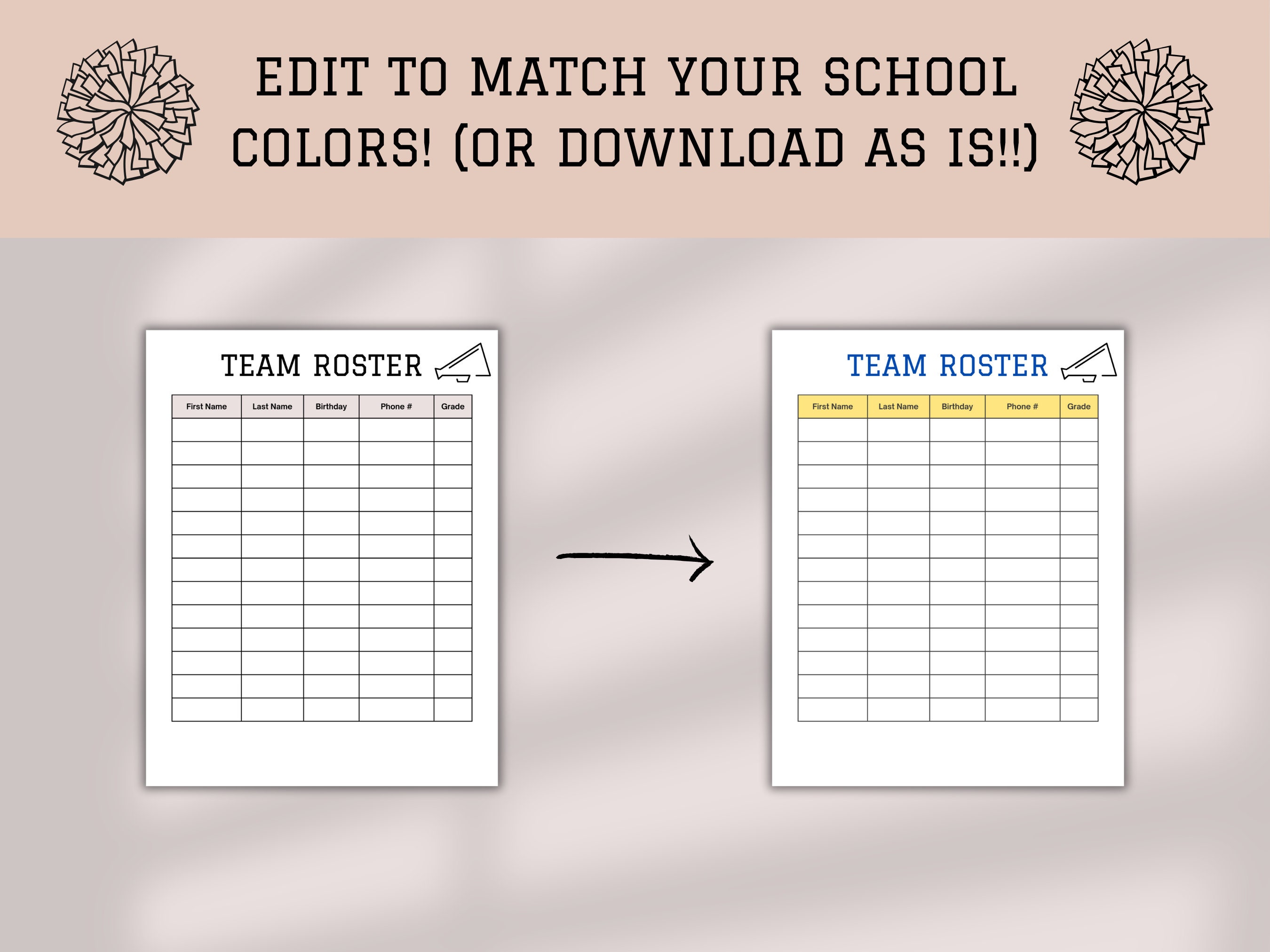 Editable Team Roster Template, Cheer Coach Planner, Printable - Etsy
